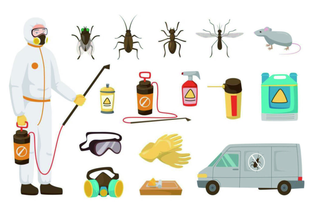 Pest Control 到底是什麽？真的有用嗎？一文讀懂德州蟲害防治全攻略！ – Dallas Chinese Daily